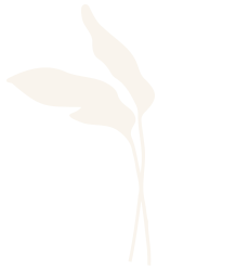 Traditional Chinese Medicine | Meridian Care