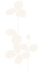 Traditional Chinese Medicine | Meridian Care